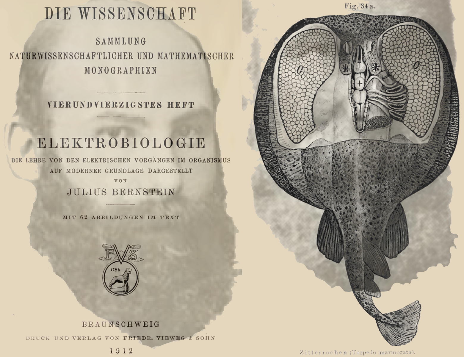 Julius Bernstein | Portraits of European Neuroscientists