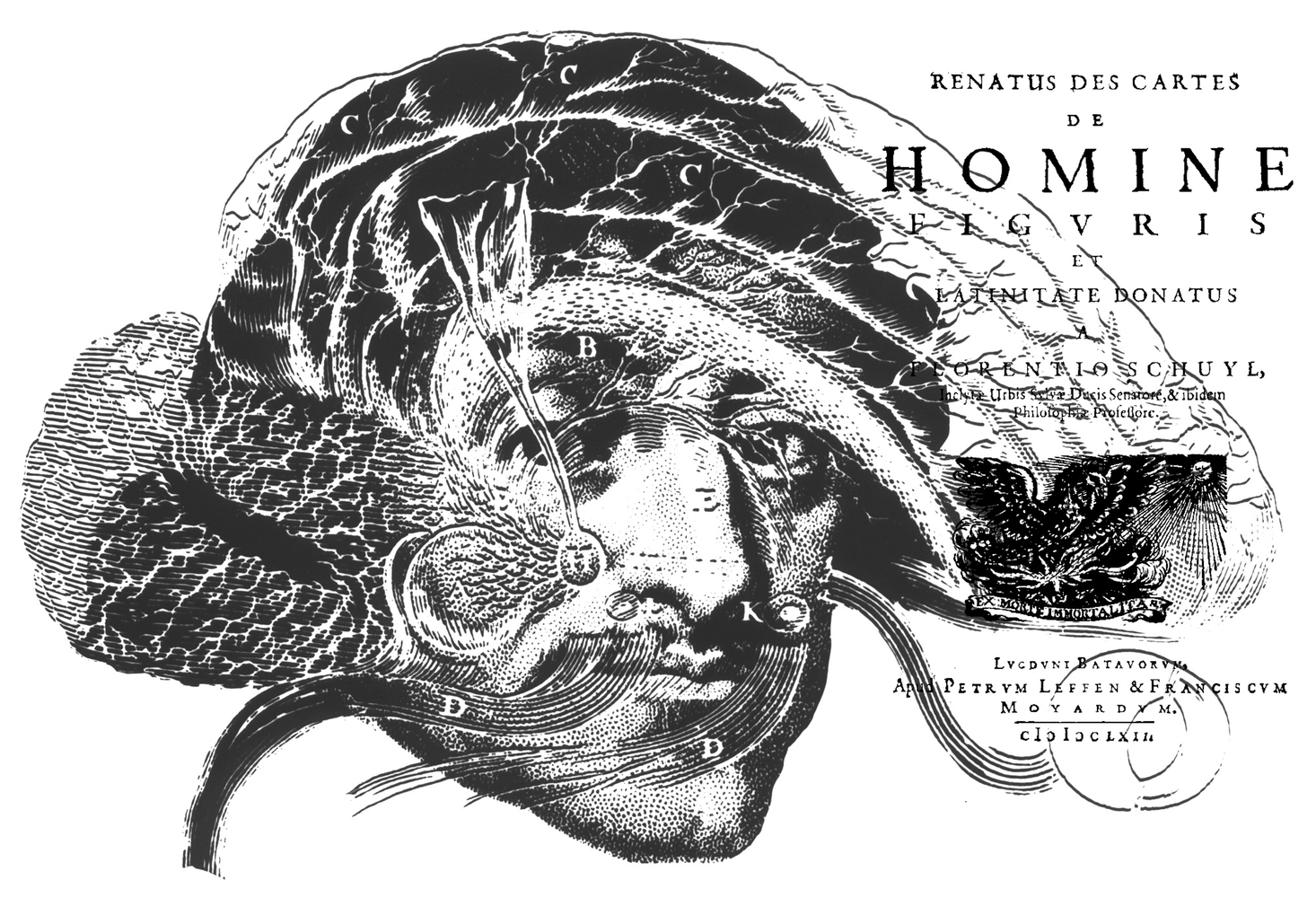 René Descartes | Portraits of European Neuroscientists