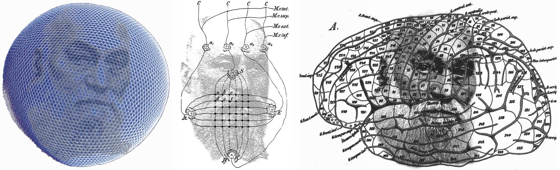 Sigmund Exner | Portraits of European Neuroscientists