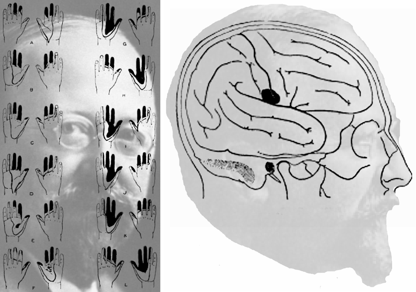 Henry Head | Portraits of European Neuroscientists