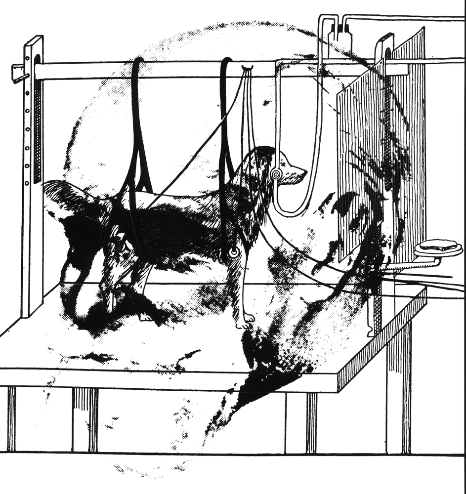 Ivan Petrovich Pavlov | Portraits of European Neuroscientists