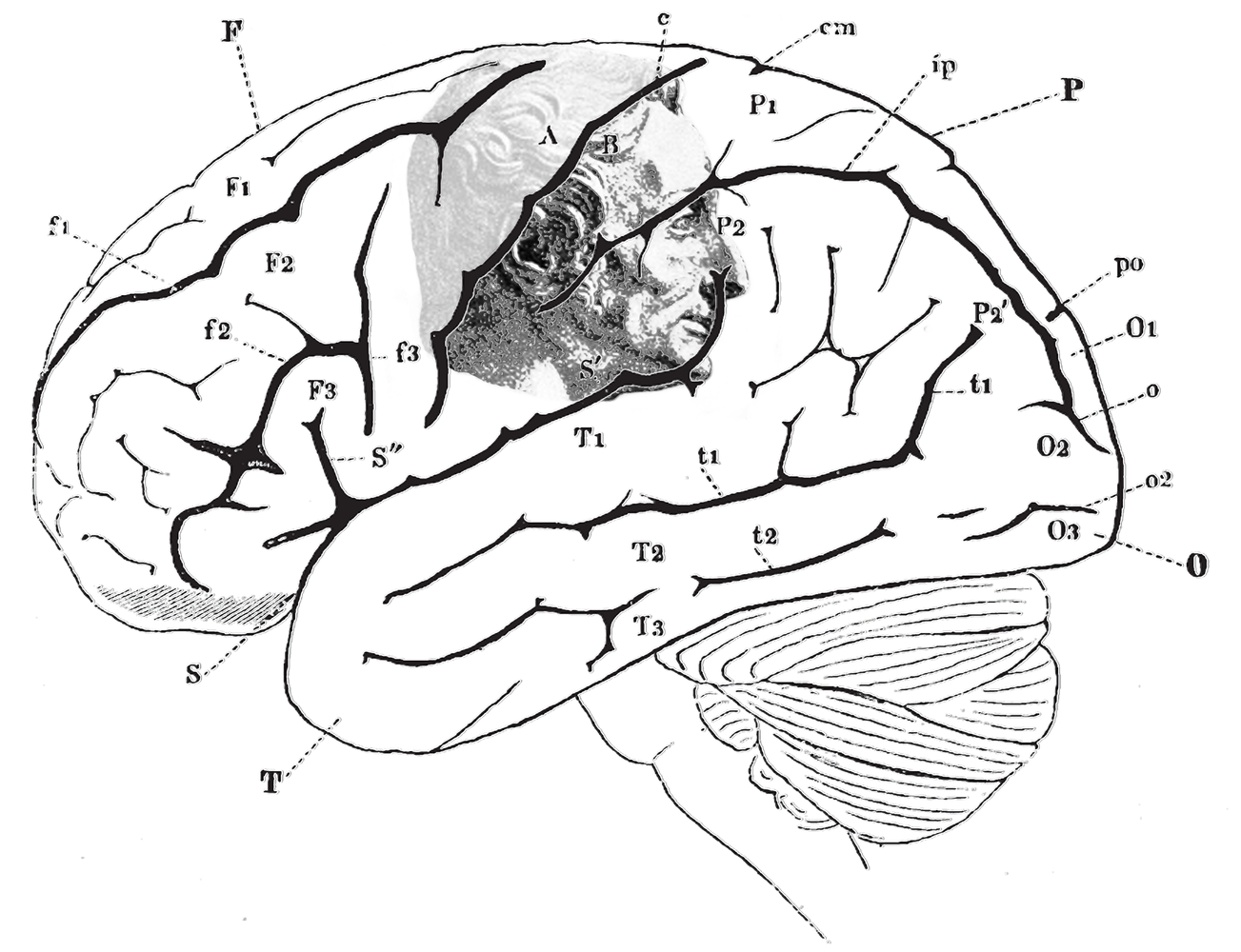 Luigi Rolando | Portraits of European Neuroscientists