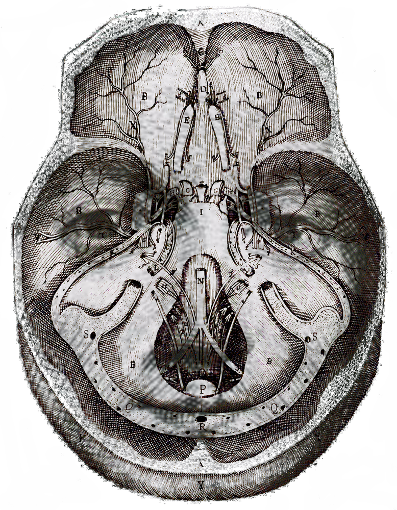Raymond Vieussens | Portraits of European Neuroscientists