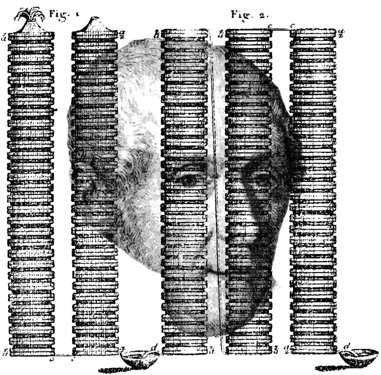 Alessandro Volta | Portraits of European Neuroscientists